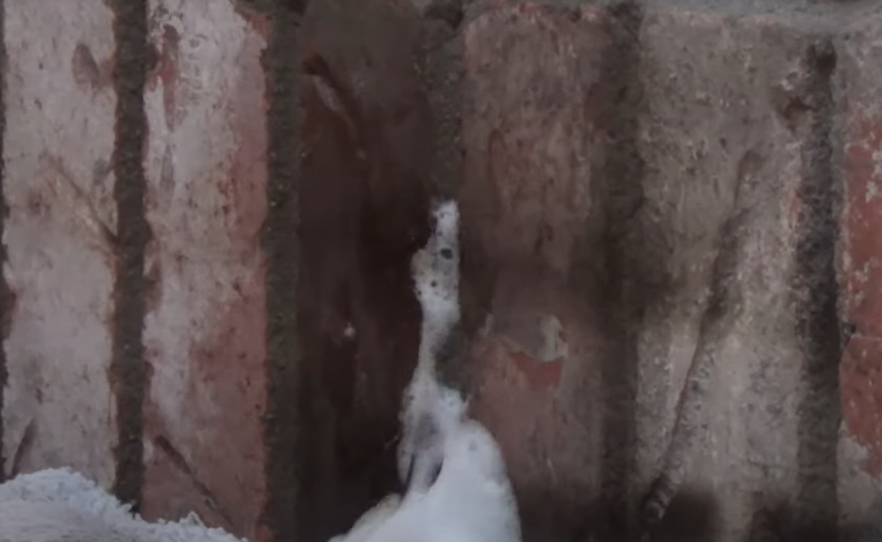 How to Clean a Brick Fireplace? - FireplaceWiki